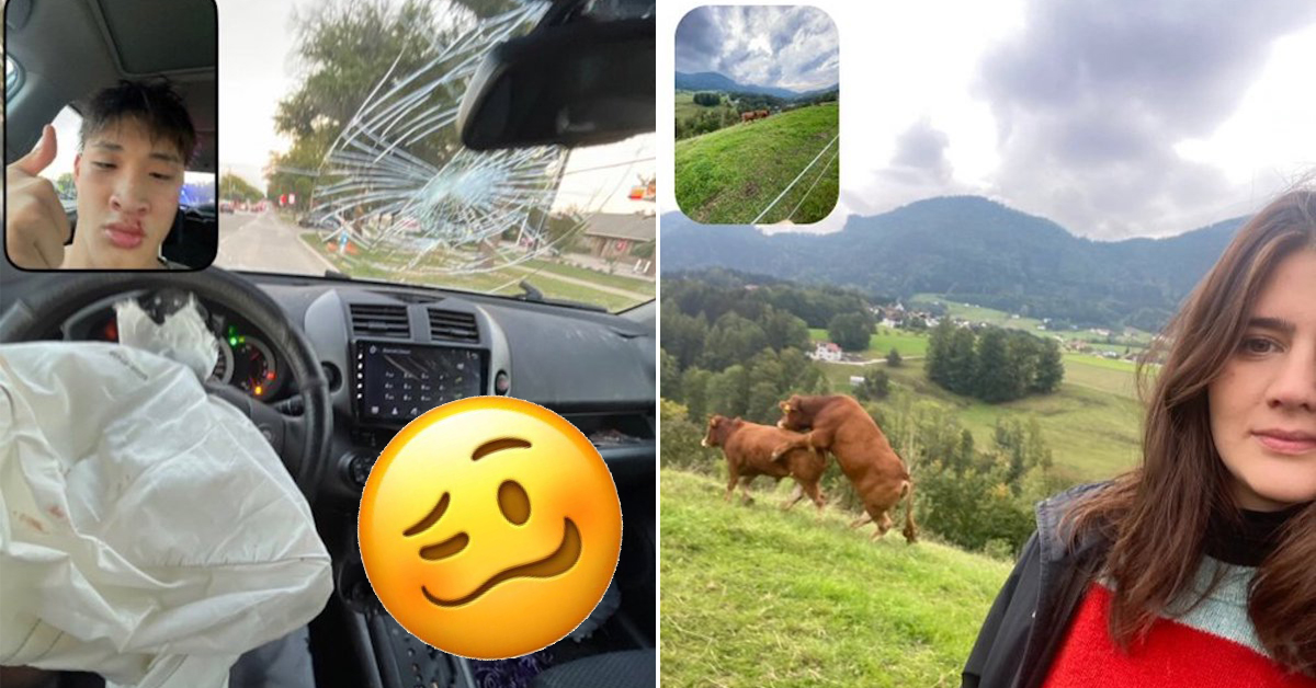 These people perfectly caught the WILDEST things on camera