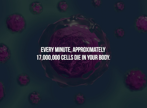 Creepy Facts Never Die