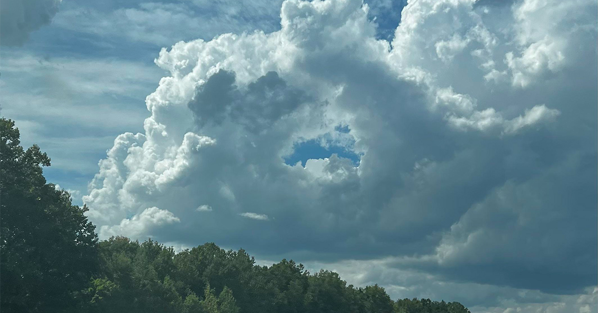 theCHIVE - Funny Pictures, Photos, Memes & Videos – theCHIVE.com