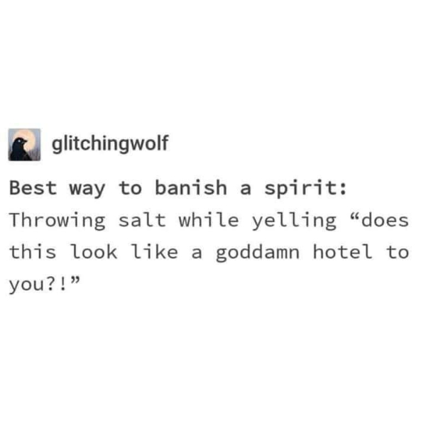 Dank Memes Never Stop