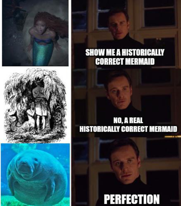 Dank Memes Never Stop