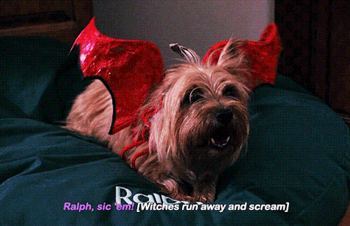 Behind-the-scenes Hocus Pocus facts you definitely didn't know