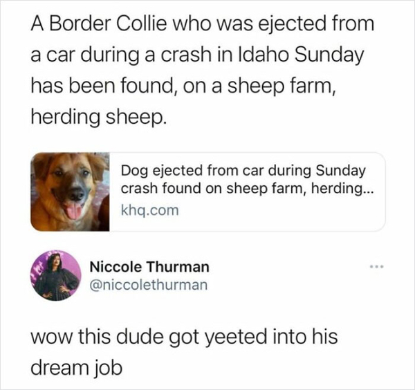 Positive posts that might just make your day