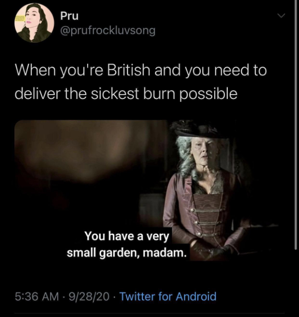 Dank Memes Never Stop