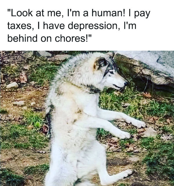 Memes for the eternally anxious among us