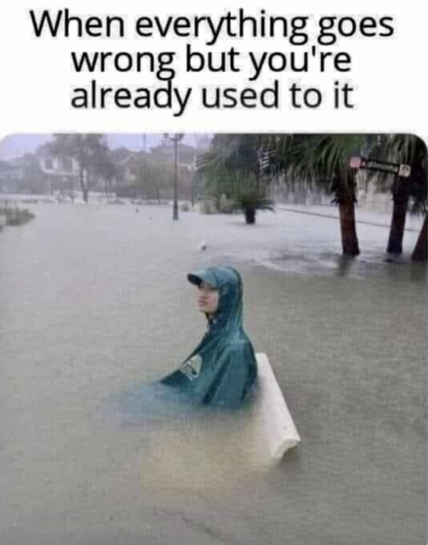 Cheesy Memes Monday Morning Sucks Funny Photo Captions Stipid Ideas