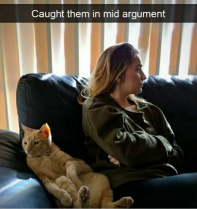 Grumpy Dad Memes Photos Best Old Parent Jokes Compilation