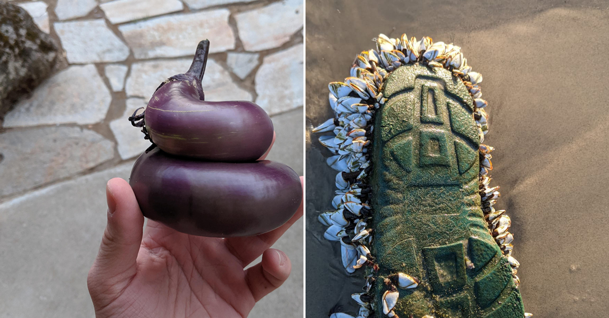 Nature has a way of keeping us all on our toes