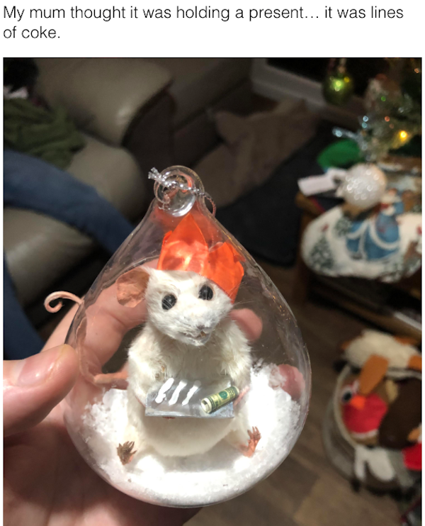 Hilariously weird parents sure do keep their kids entertained