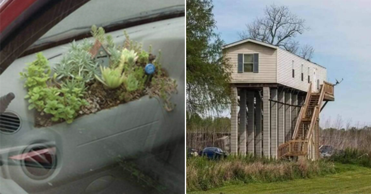 DIY projects that not even Tim the Tool-man Taylor could salvage