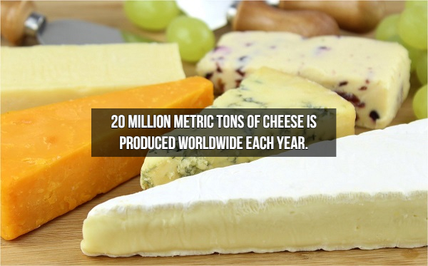 Cheese... There Must Be Cheese... Facts