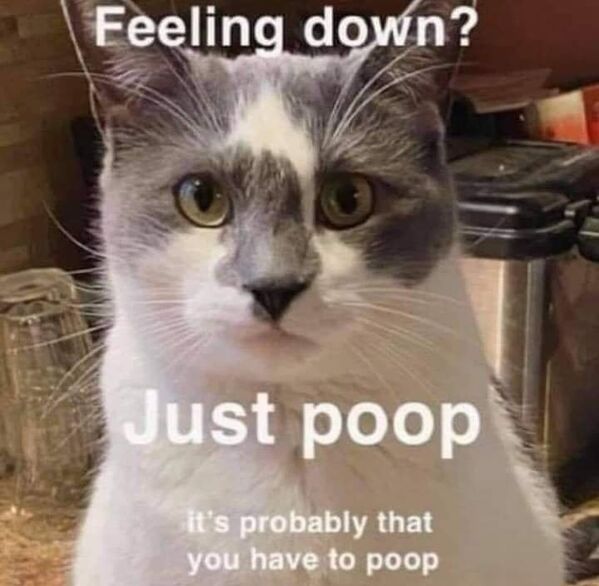 Kick Back, Relax, It’s Cat Saturday