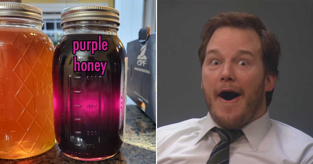 How TF did I never know these things existed?!?