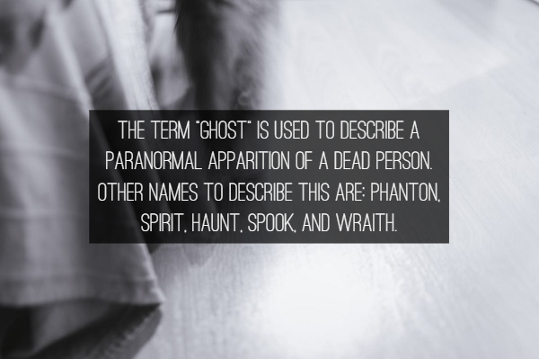 A Look Into the World of the Paranormal