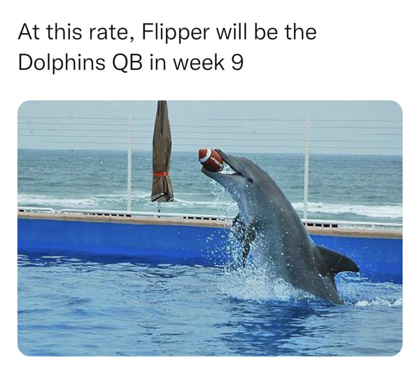 Leather bound NFL memes from Week 5 are better than the Broncos
