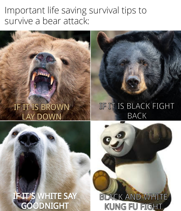 These Dank Memes Stank in a Good Way