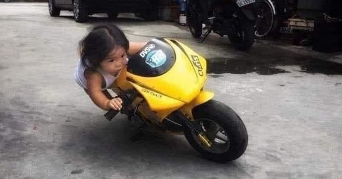 theCHIVE - Funny Pictures, Photos, Memes & Videos – theCHIVE.com