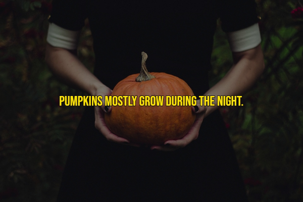 Random Facts on a Random Day (15 Photos)