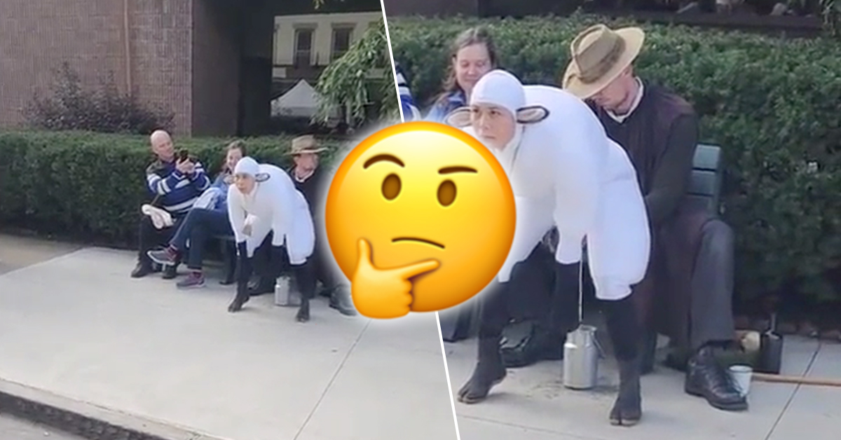 What in the actual f**k is going on here?