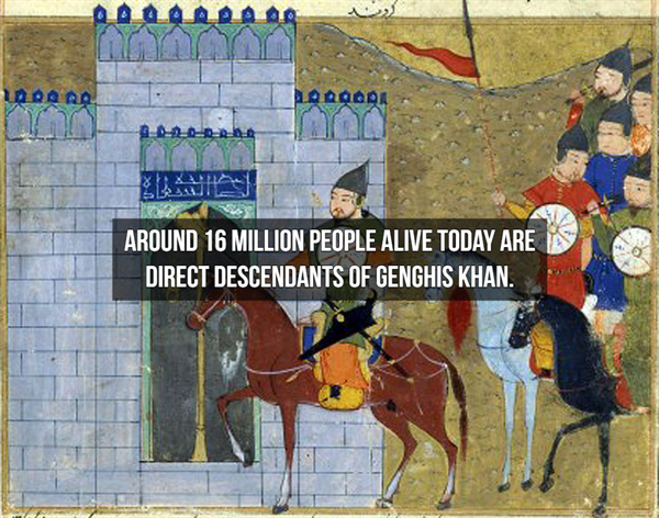 Utterly Random Facts To Impress Your Friends With utterly-random-facts-to-impress-your-friends-with