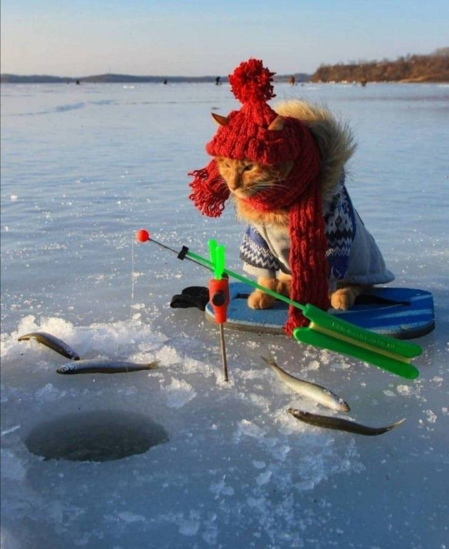 Boost your mood with uplifting MEMES and GIFs