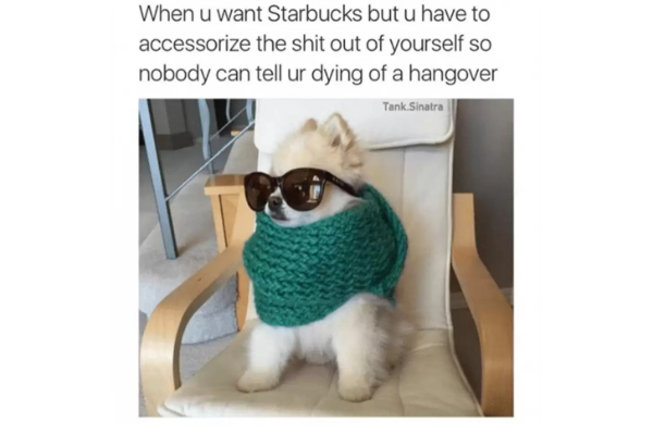 Laugh in Regret With These Hangover Memes