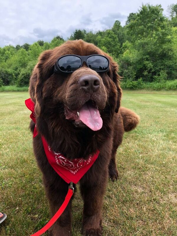 Throw a Bone to the Good Boiz