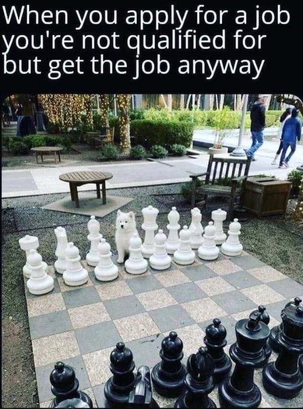 Memes Game Idiot Checkers Funny Dad Grumpy Wisdom vs Stupid People