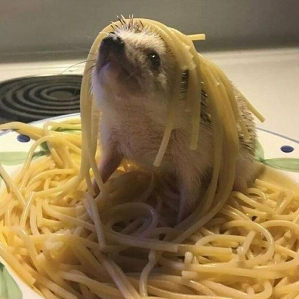 These robot animals have gone totally haywire