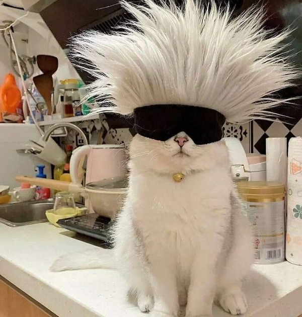 These robot animals have gone totally haywire