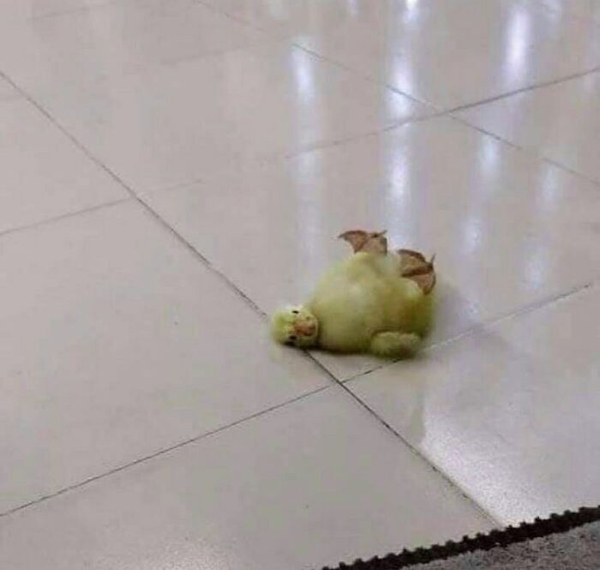 These robot animals have gone totally haywire