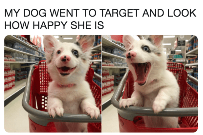Boost your mood with uplifting MEMES and GIFs