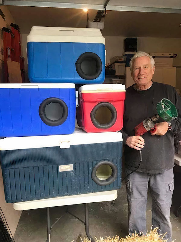 Pet inventions that are helping to make animal dreams a reality