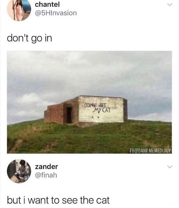 "Questionable Tweets" shows the madness of the internet