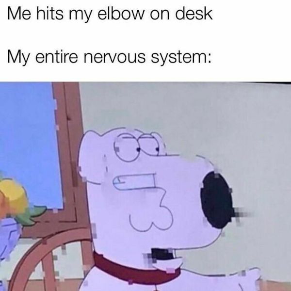 "Questionable Tweets" shows the madness of the internet