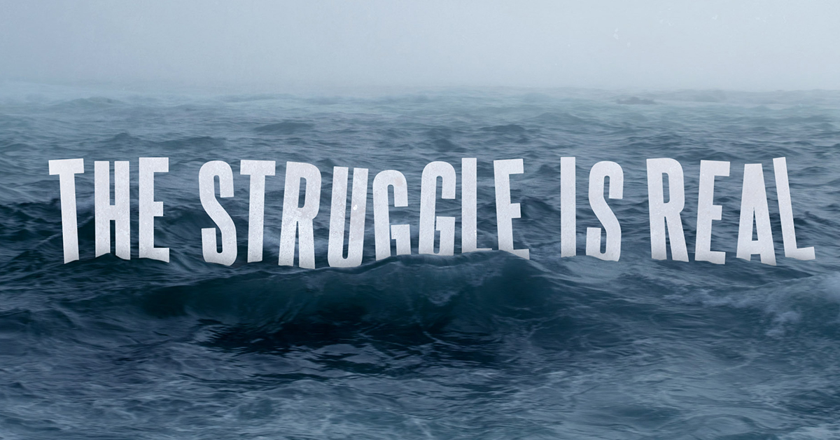 The struggle is real (13 Photos)