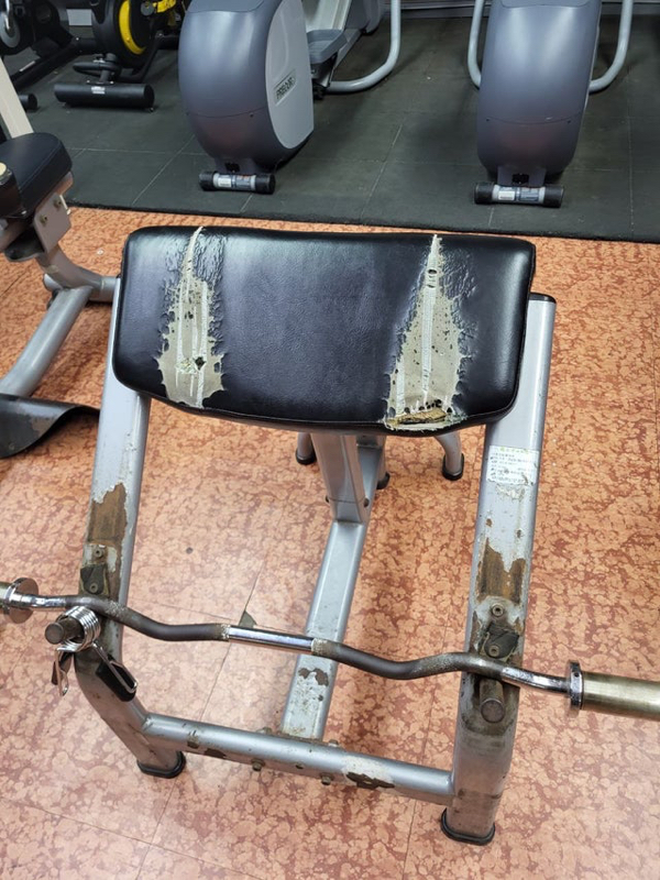 Time-tested and well worn