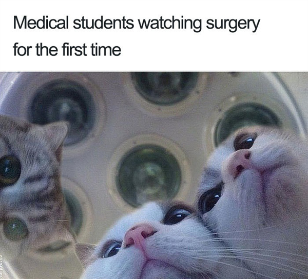 Your Dr. Memes Appointment Is Here