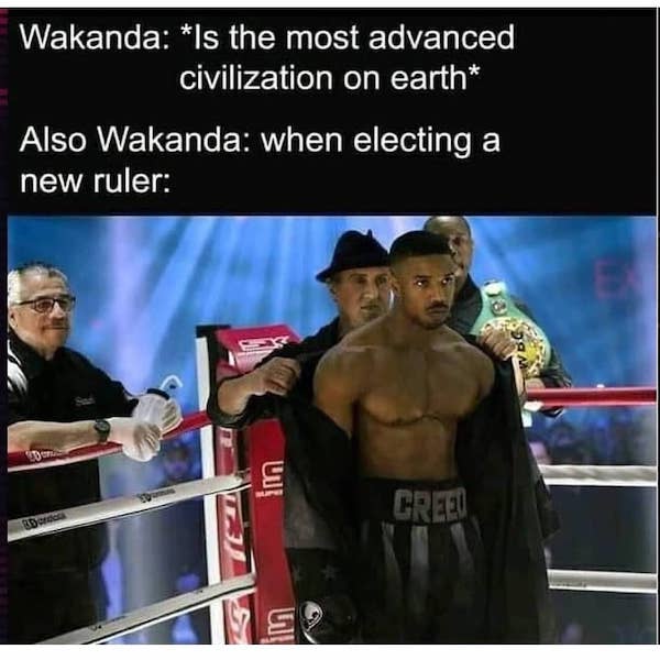 Lights, Camera, Action, Memes!!! (32 Photos)