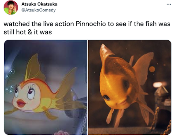 Lights, Camera, Action, Memes!!! (32 Photos)