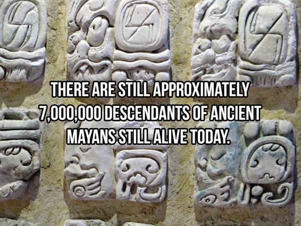 A Wild Look Into the Ancient Mayans