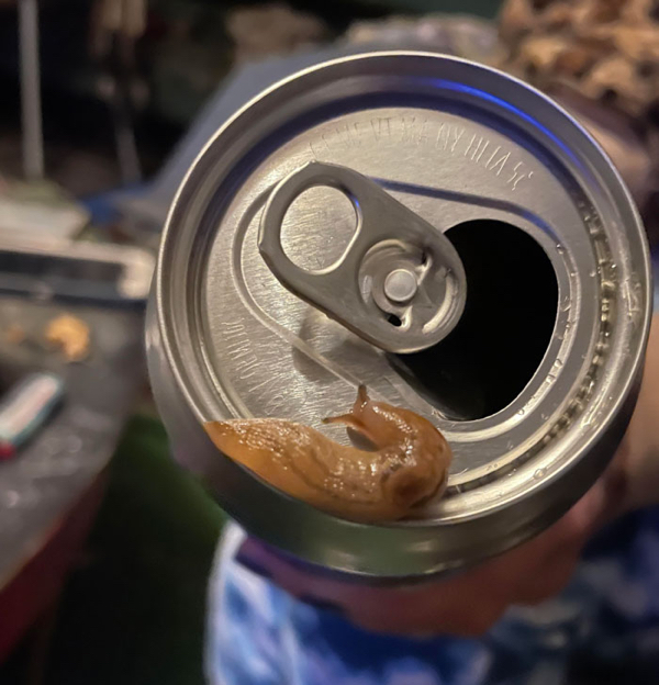 Moments of utter despair that we can only laugh at