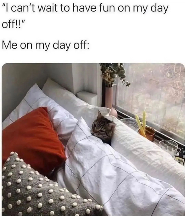 Some workplace jokes that won't count against your PTO