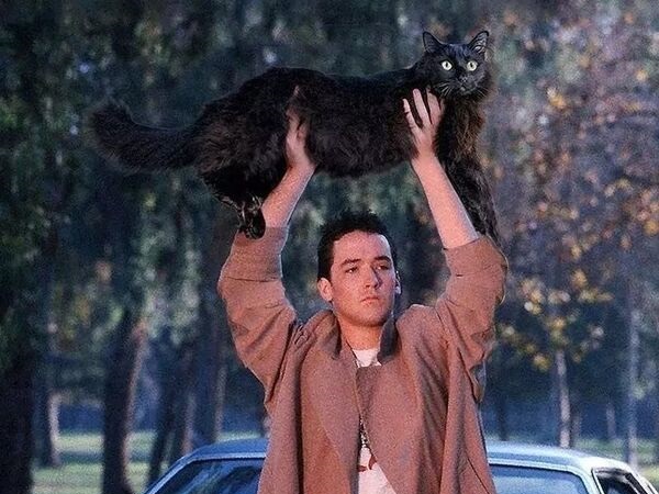 Bring on the Cats, It’s Cat Saturday!!!