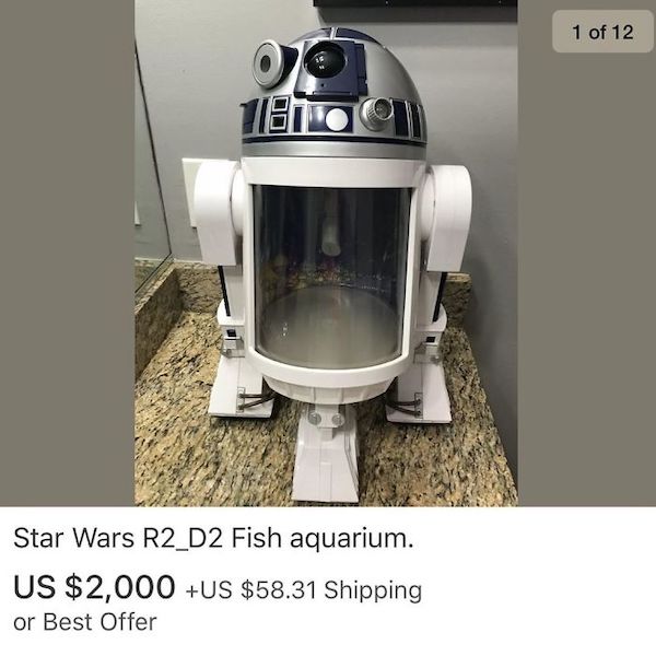 Account shows the most insane s*** sold on eBay... ever