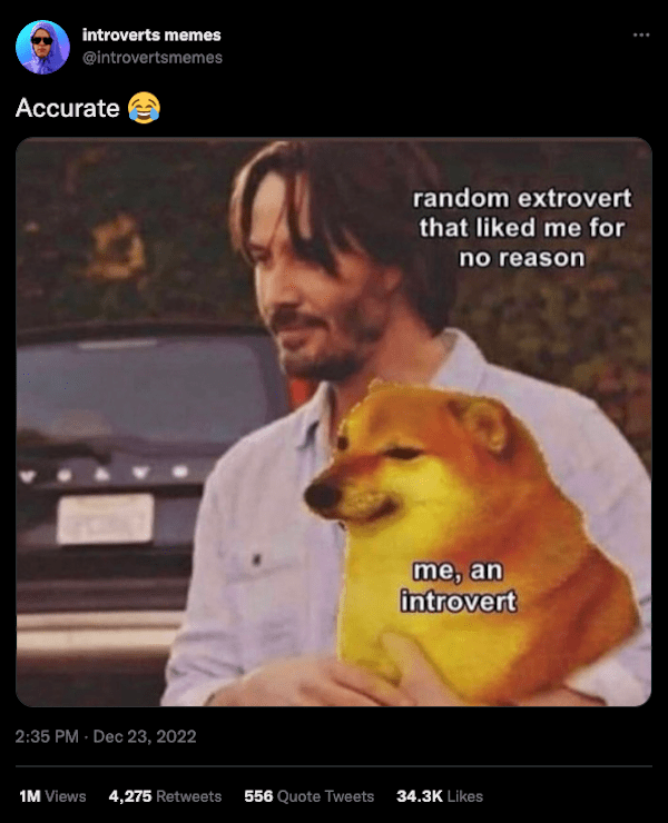 Introvert memes to disappear into the couch with