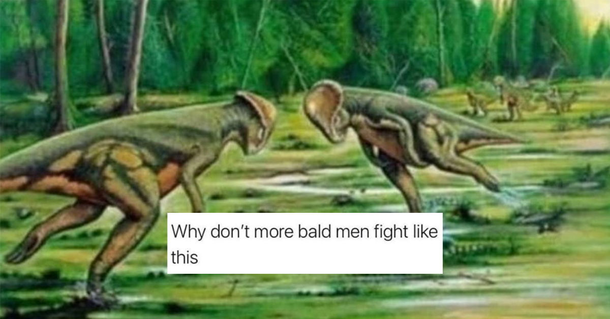Some "Men's Humor" that we're pretty sure everyone will find funny