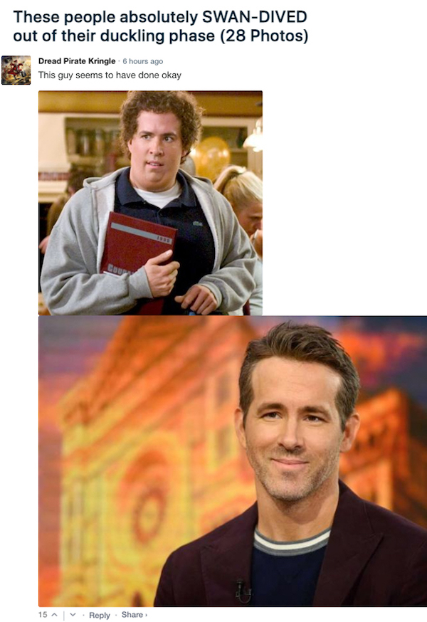 Top Comments on theCHIVE are were genius, comedy, and insanity collide