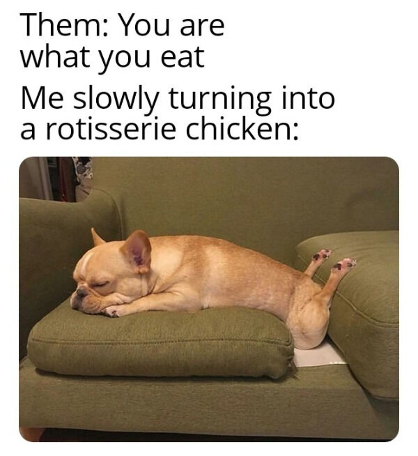 Dogs Are Awesome