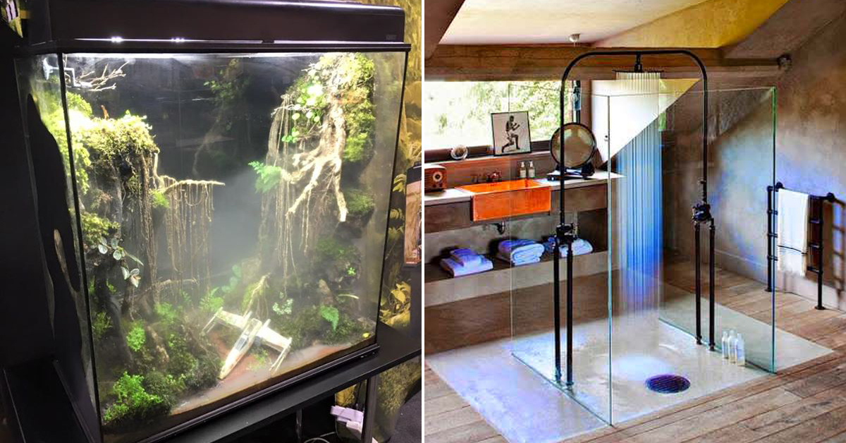 Desirable objects any sane person would lust after